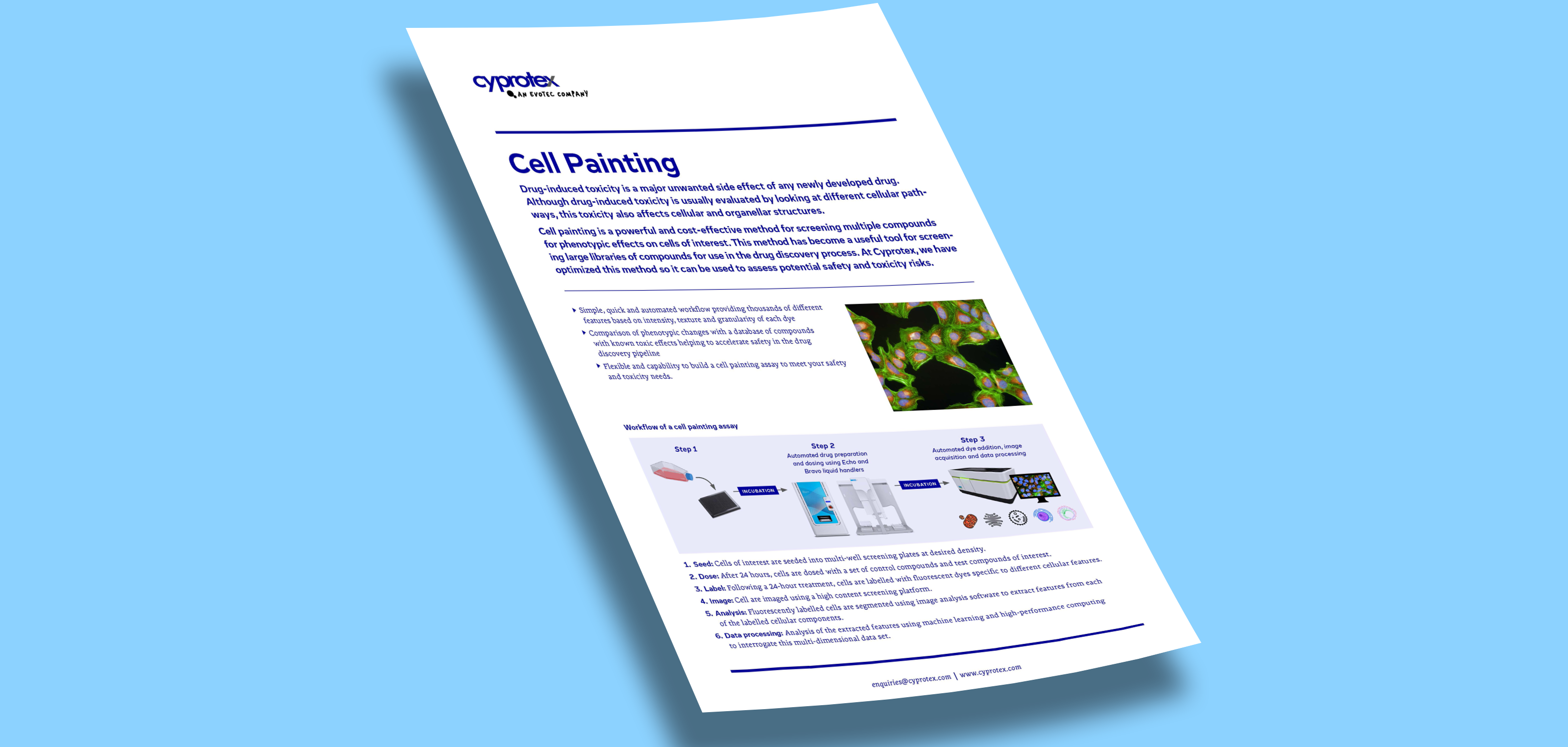 Cell Painting Fact Sheet