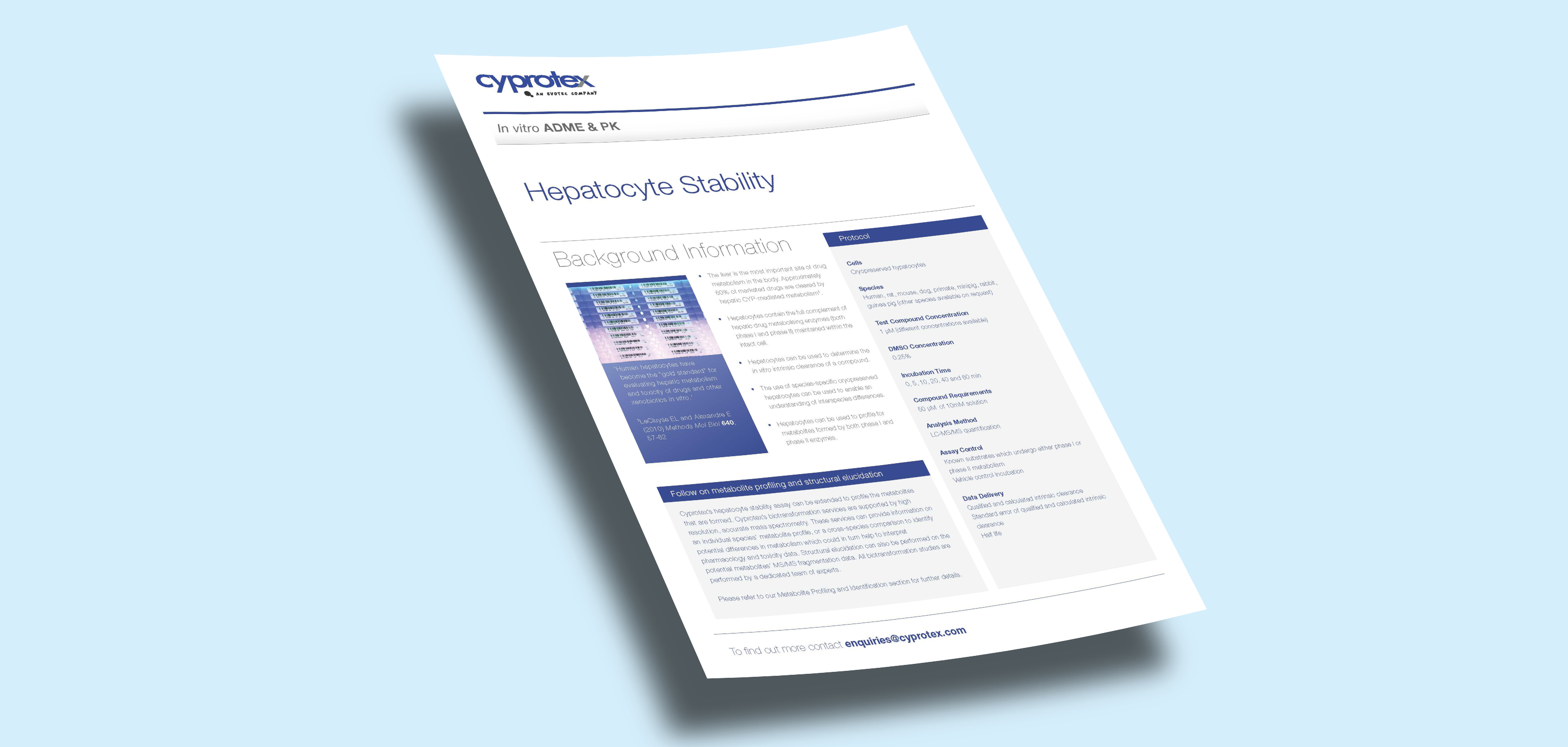 Hepatocyte Stability Fact Sheet