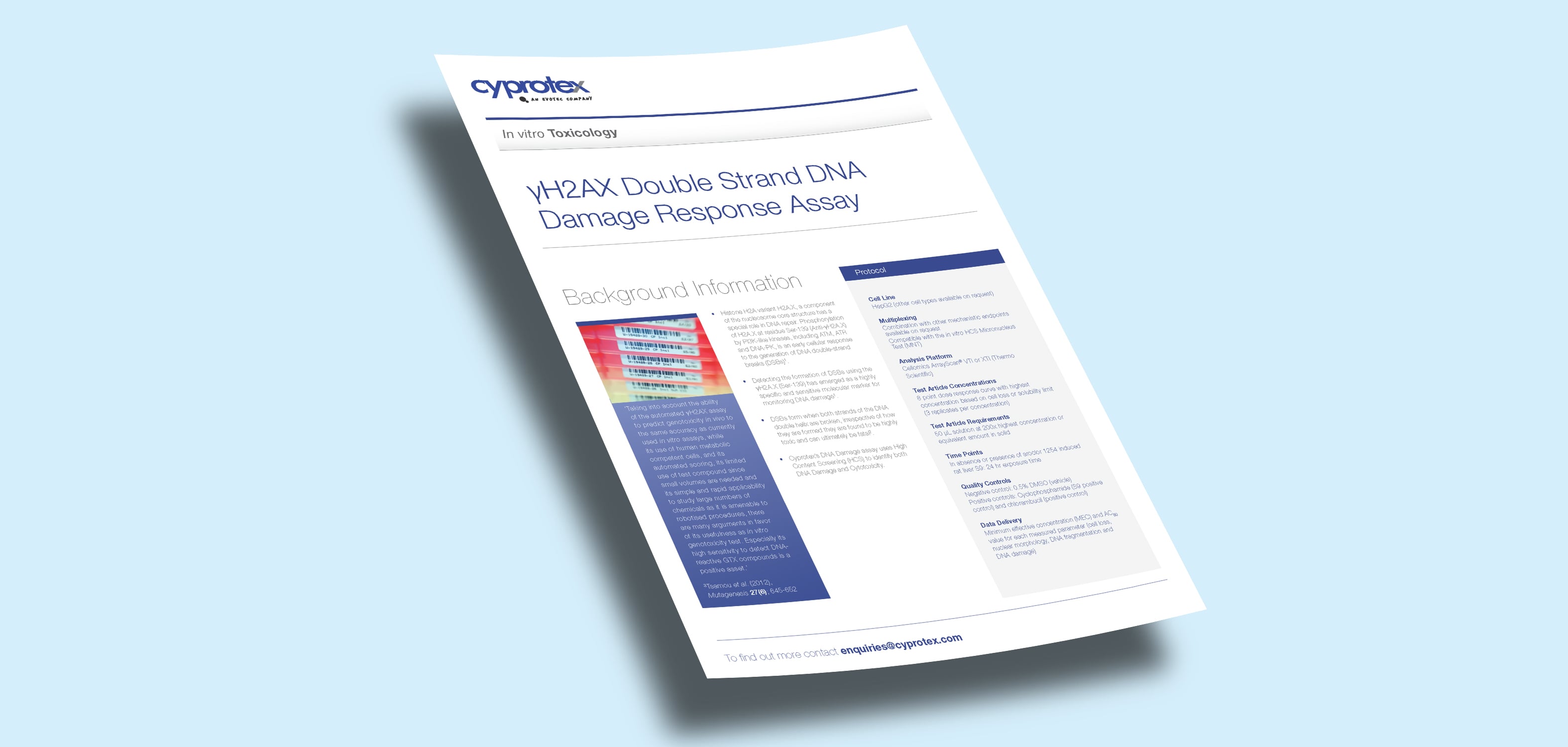 γH2AX DNA Damage Fact Sheet