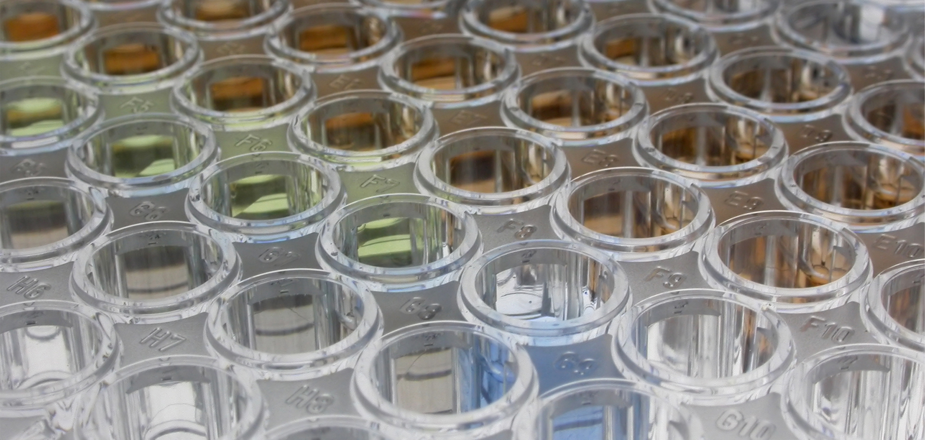 Identification of Positive Modulators of TRPM5 Channel using a ...