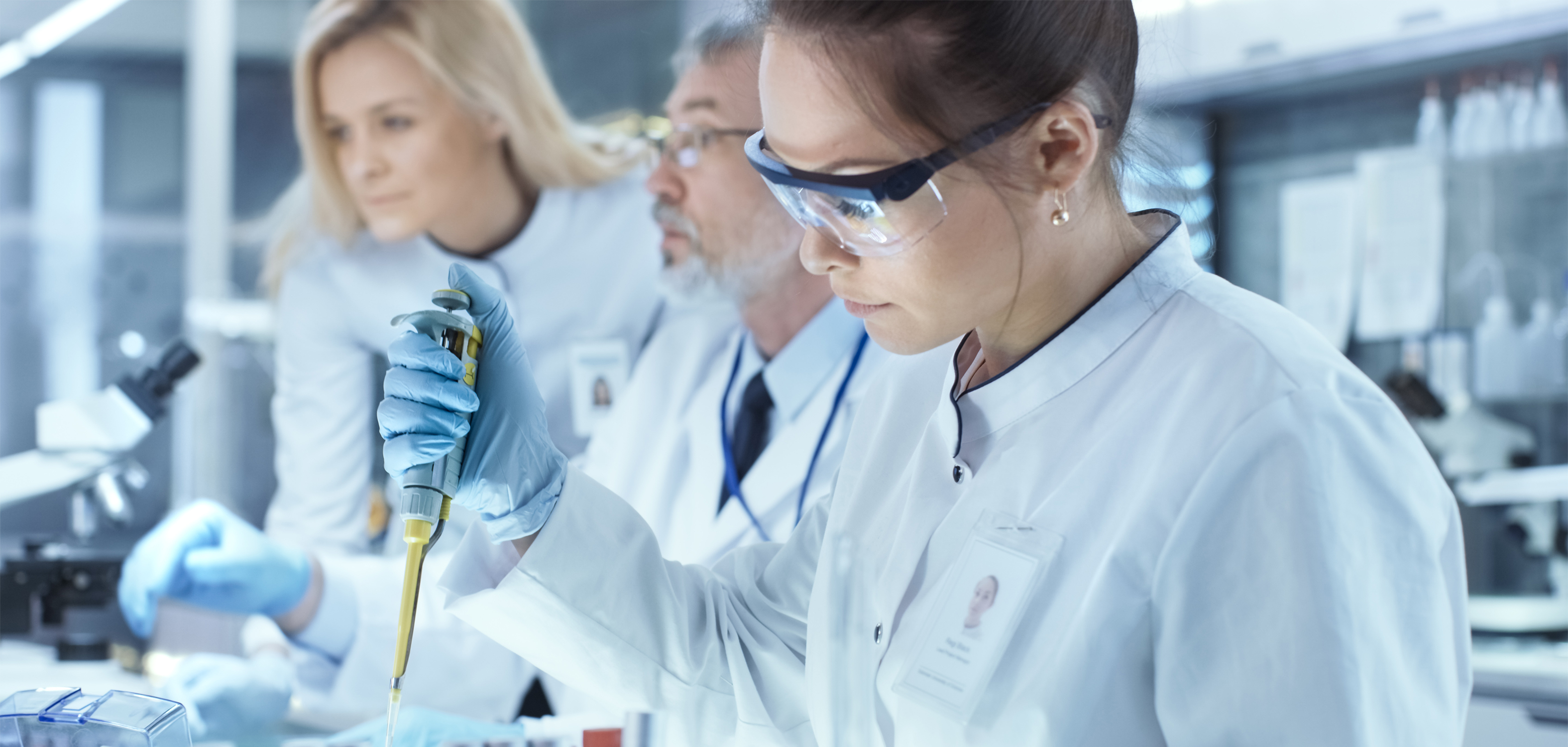 Label‐free and Super‐SILAC Quantification for Proteome Expression Analysis