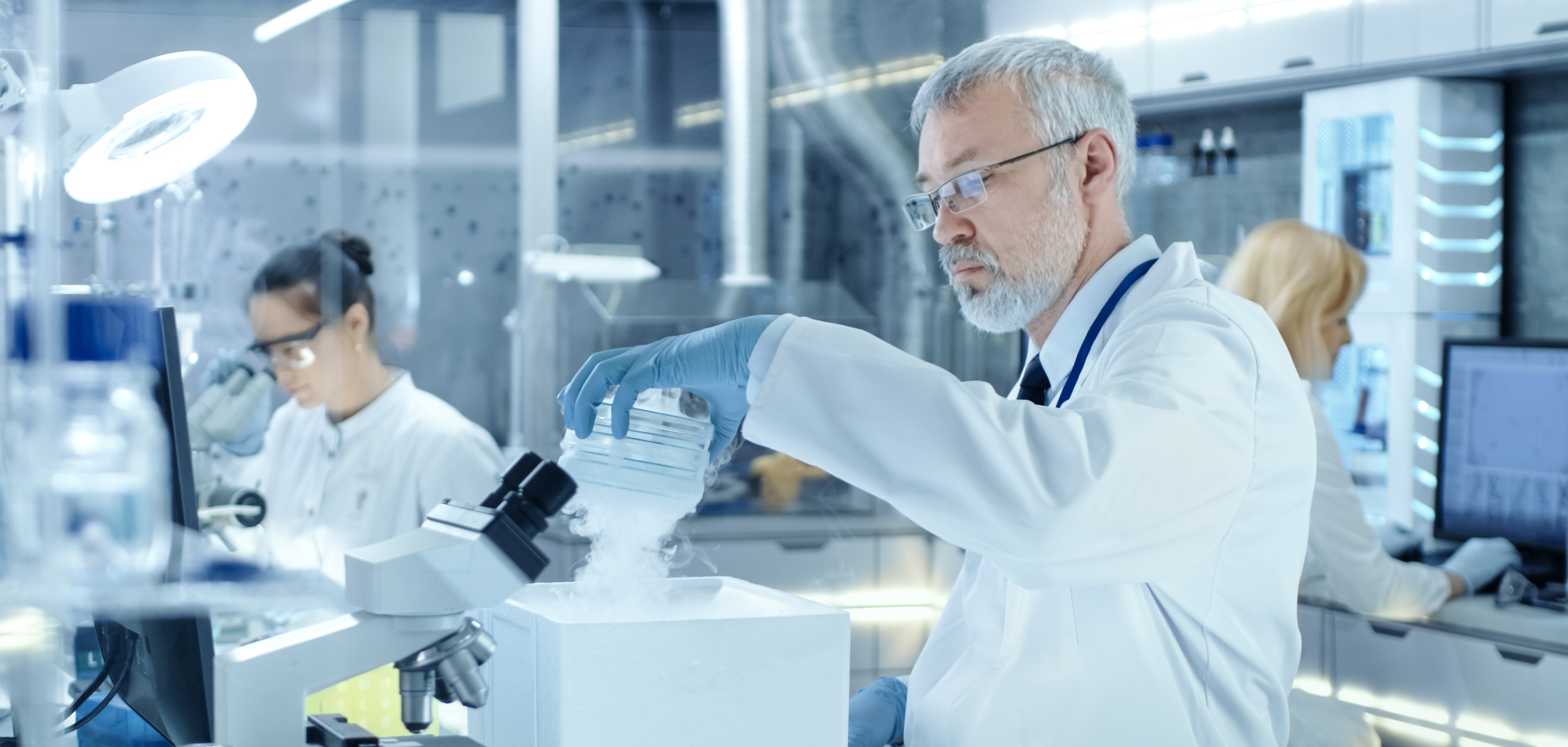 Novel Small Molecule Treatment Options for FSHD